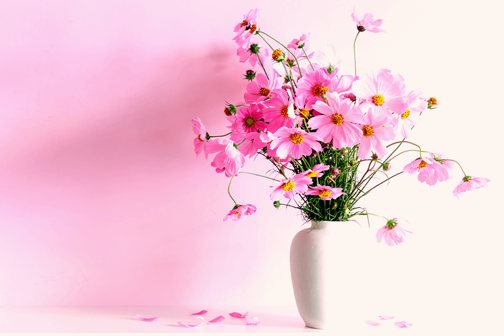 October Birth Month Flower Meanings – Plant Decor Shop